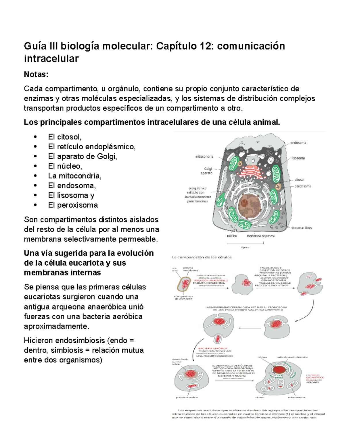 Guía Iii Biología Molecular Guía Iii Biología Molecular Capítulo 12