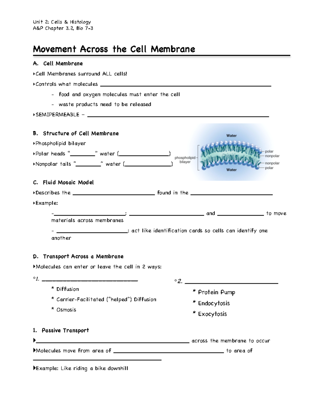 Movement across cell notes-fillin students - Unit 2: Cells & Histology ...