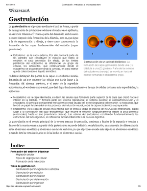 Boca y Faringe - Texto obtenido del Rouviere - CAVIDAD ORAL O BUCAL Es ...
