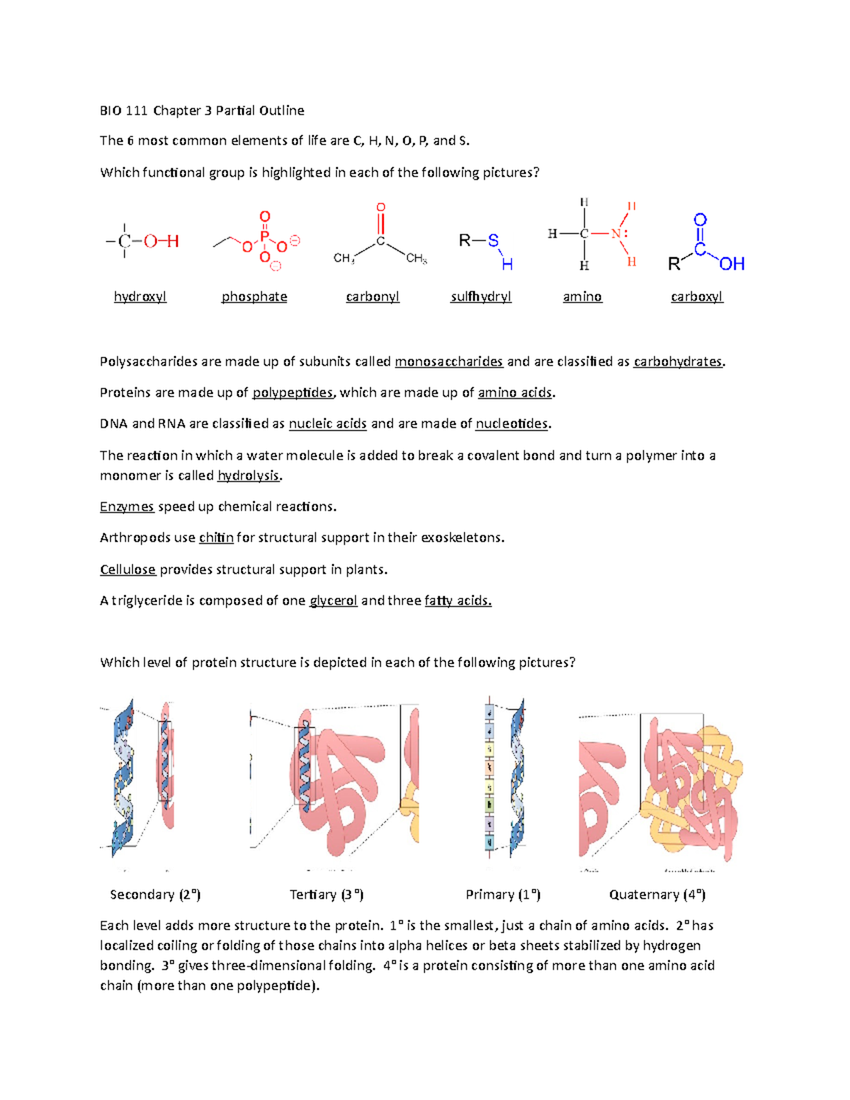 BIO 111 Ch3 Partial Outline - with answers - BIO 111 Chapter 3 Partial ...