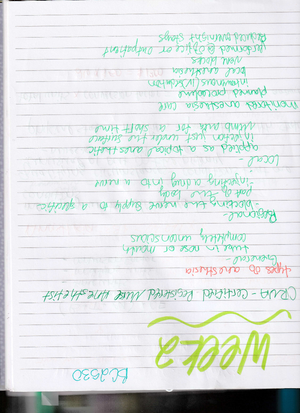 [Solved] Describe how you will apply that coding guideline when assigning - Procedural Coding I ...