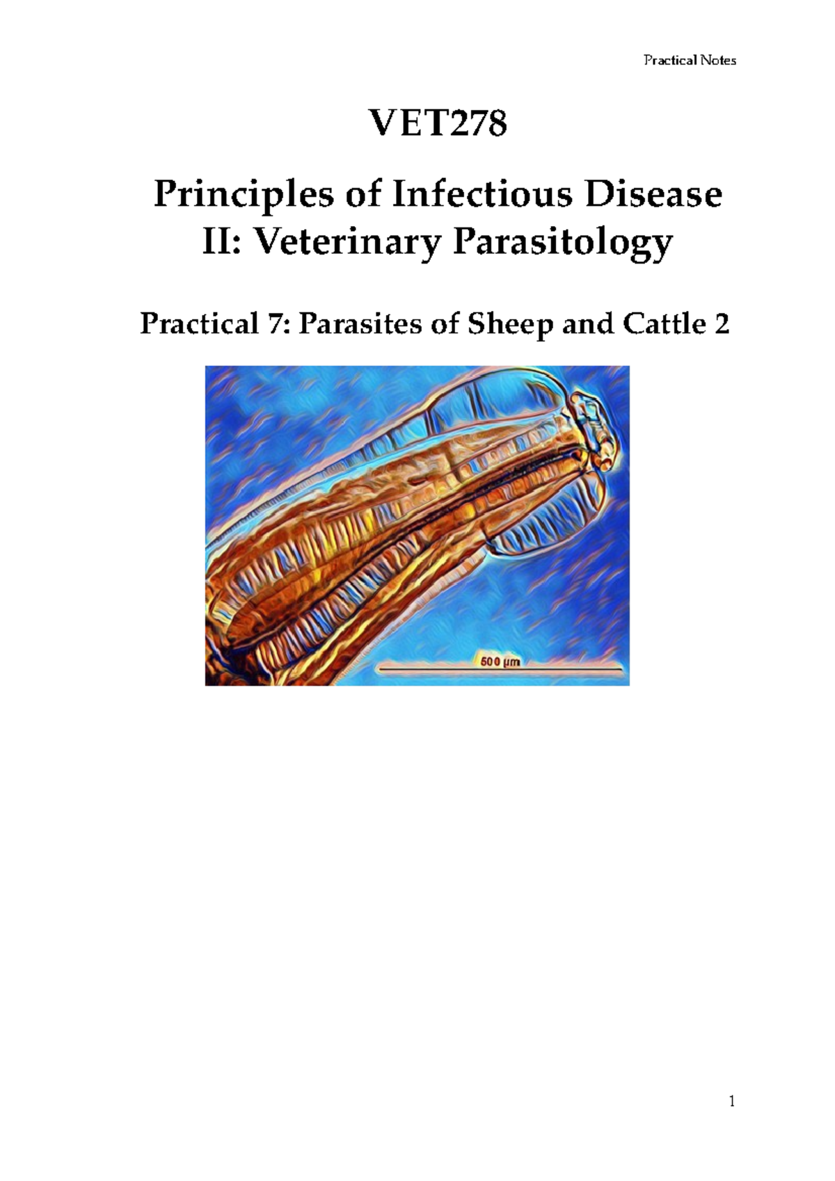 VET278 Sheep and cattle 2 prac - VET Principles of Infectious Disease ...