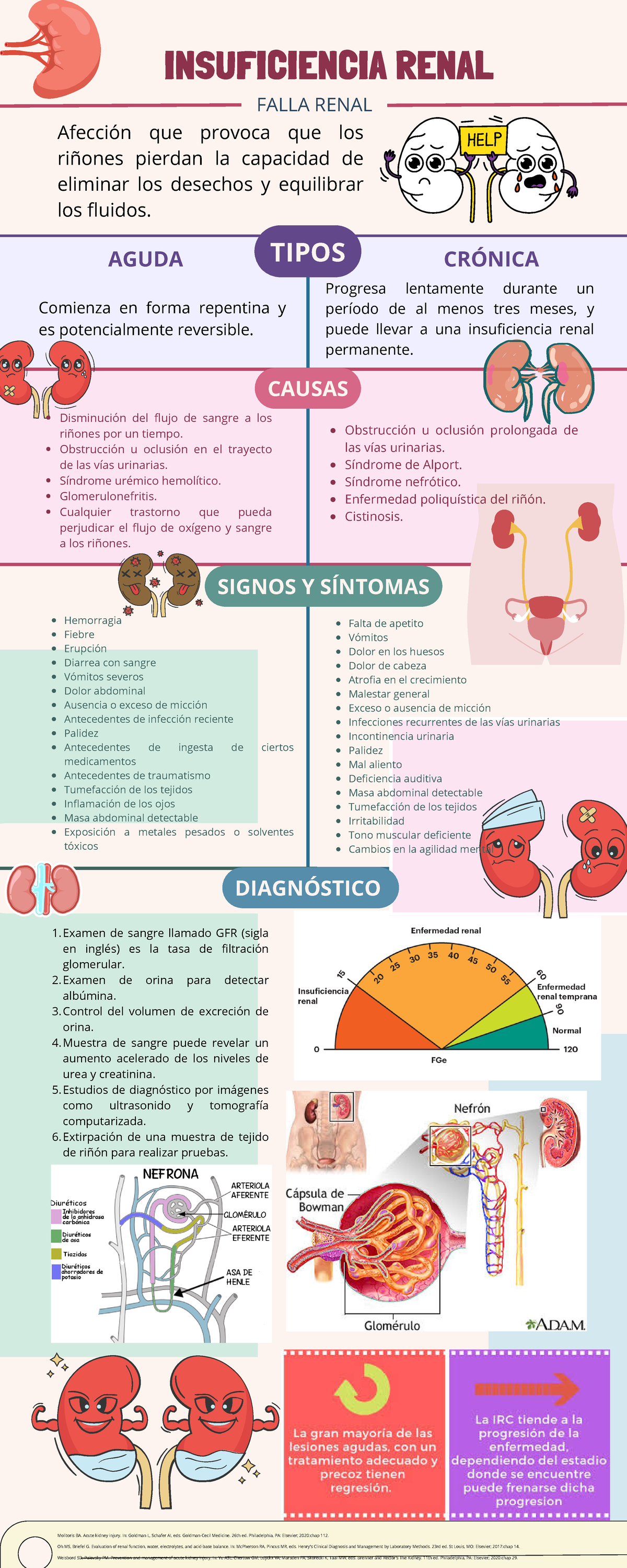 Insuficiencia Renal, Infografía - FALLA RENAL AGUDA TIPOS CRÓNICA ...