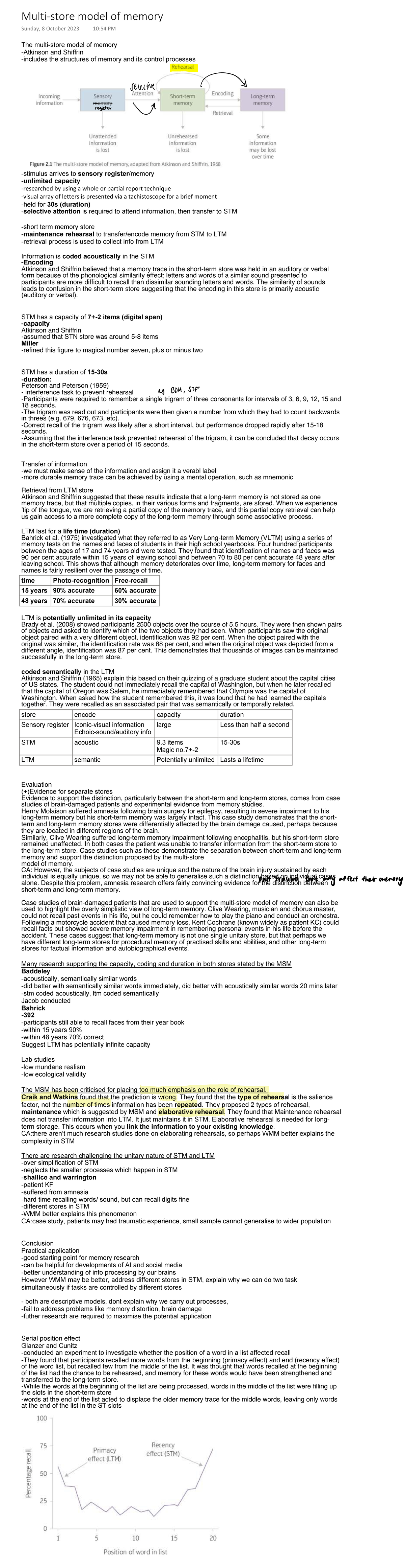 Multi-store model of memory - The multi-store model of memory Atkinson ...