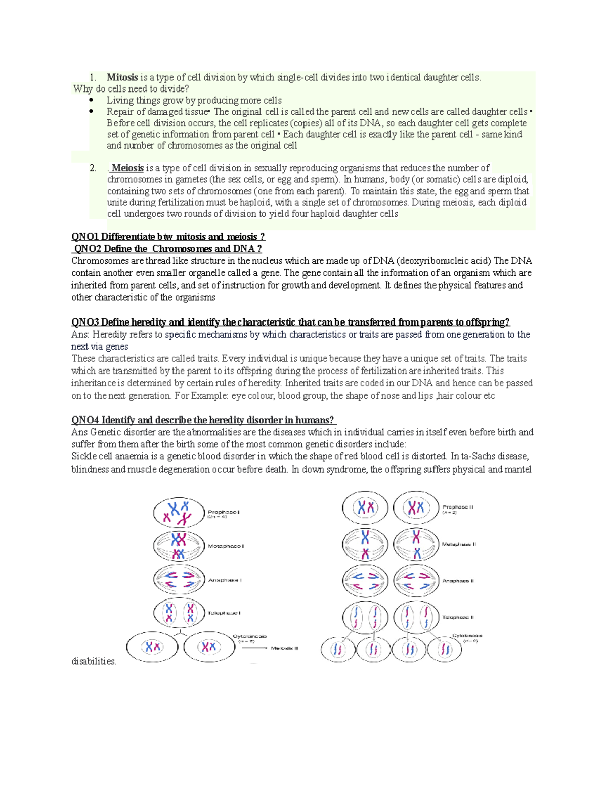 Mitosis - Why do cells need to divide? Living things grow by producing more cells Repair of ...