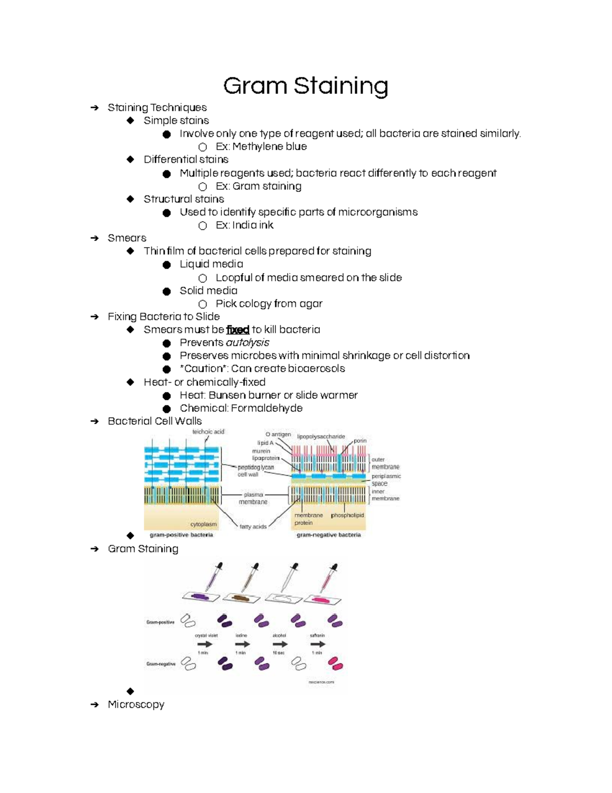 Gram Staining - Gram Staining Staining Techniques Simple stains Involve ...
