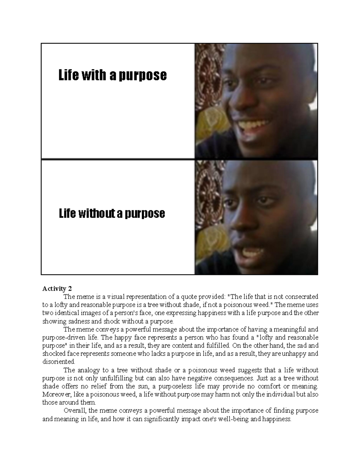 Activity 2 meme - create a meme - Activity 2 The meme is a visual ...