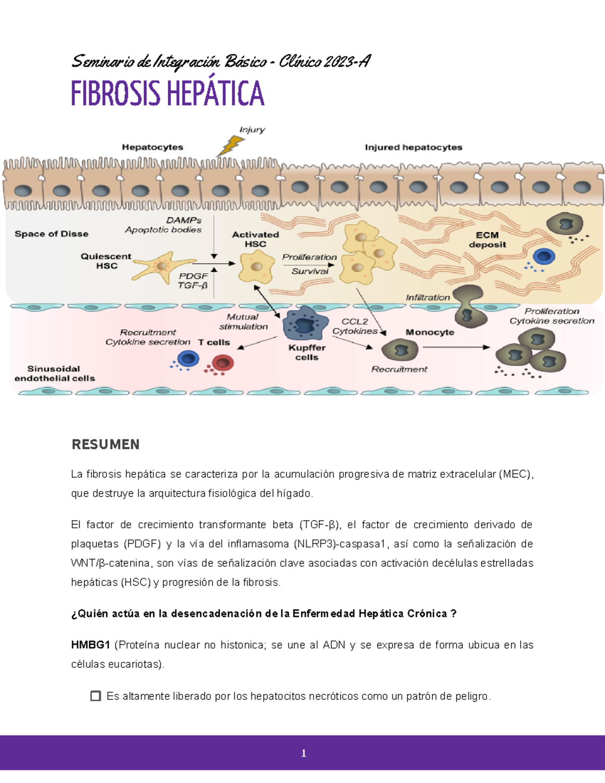Fibrosis Hepatica - Cecil Tratado de medicina interna - Seminario de ...