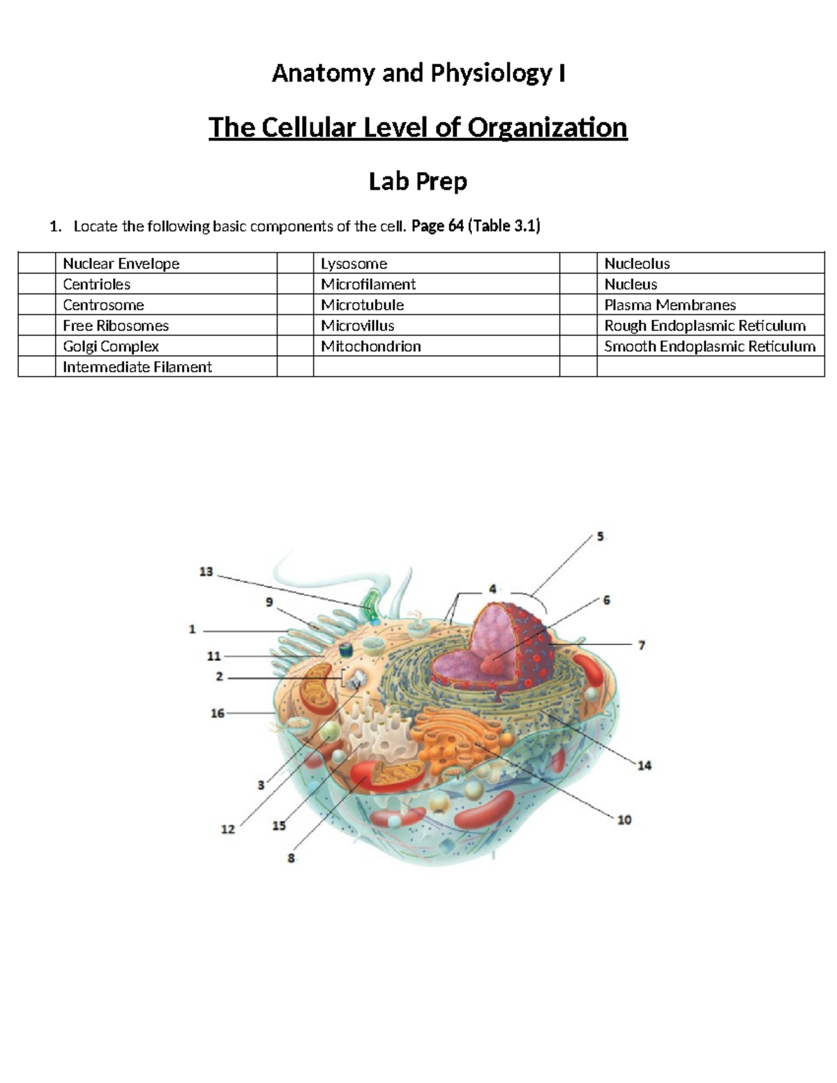 New Microsoft Word Document - Anatomy and Physiology I The Cellular ...