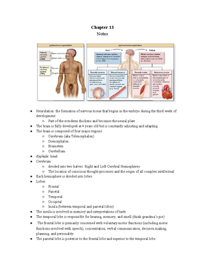 Review Questions Autonomic Nervous System - Autonomic Nervous System ...