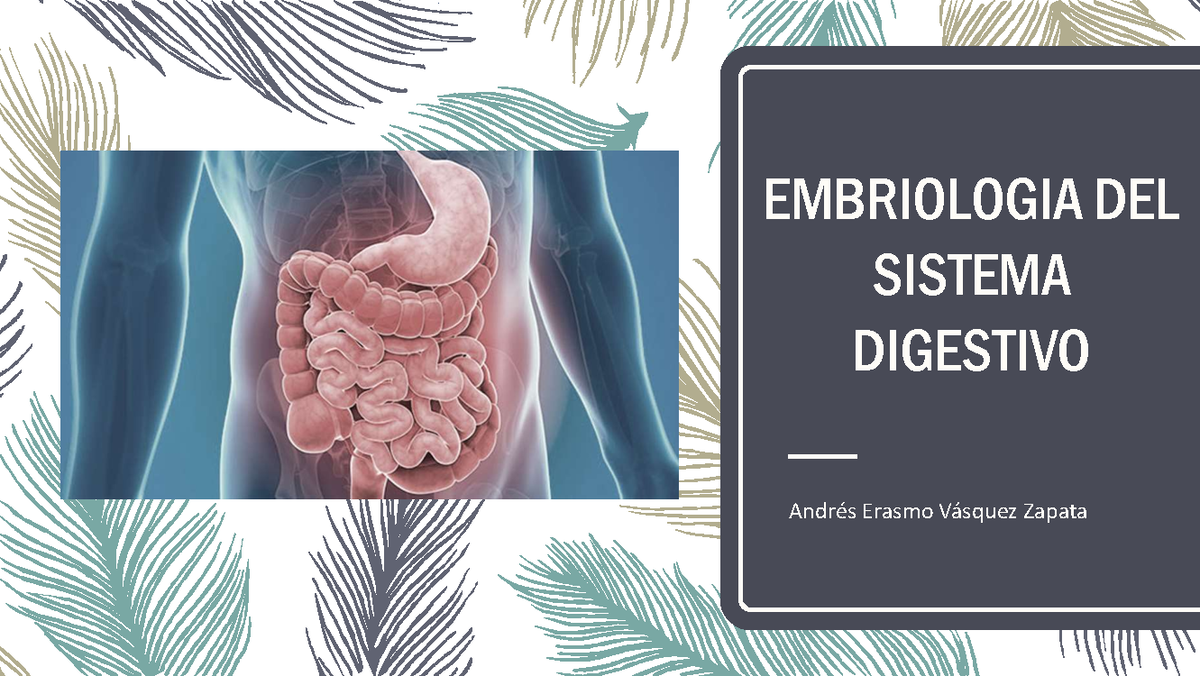 Embriologia DEL Sistema Digestivo - Warning: TT: undefined function: 32 Warning: TT: undefined ...