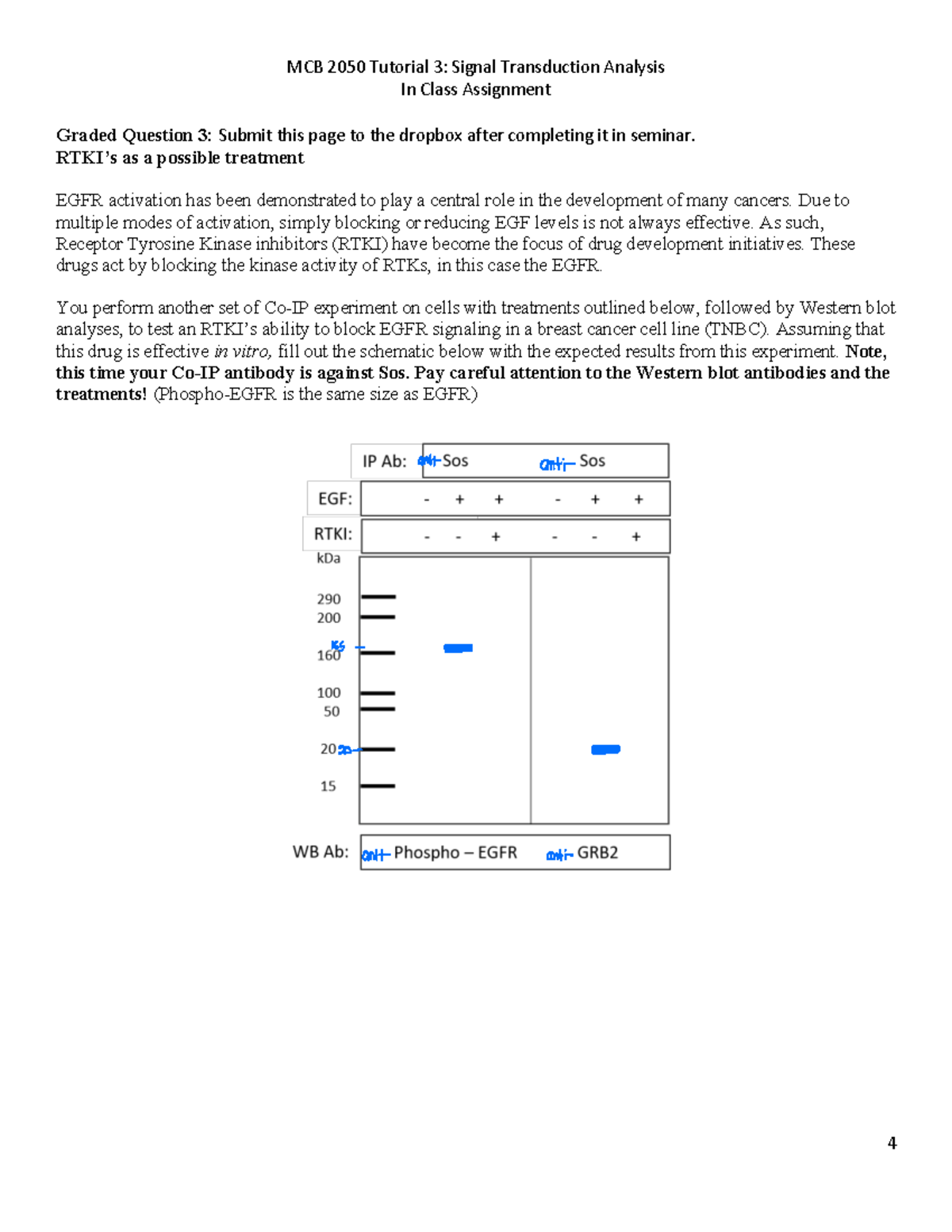 Feb 7 2024 mcb sem 3 - Seminar 3 hand-in page - MCB 2050 Tutorial 3 : Signal Transduction ...