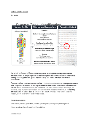 using genetics to understand biology - T4 - used to study gene ...