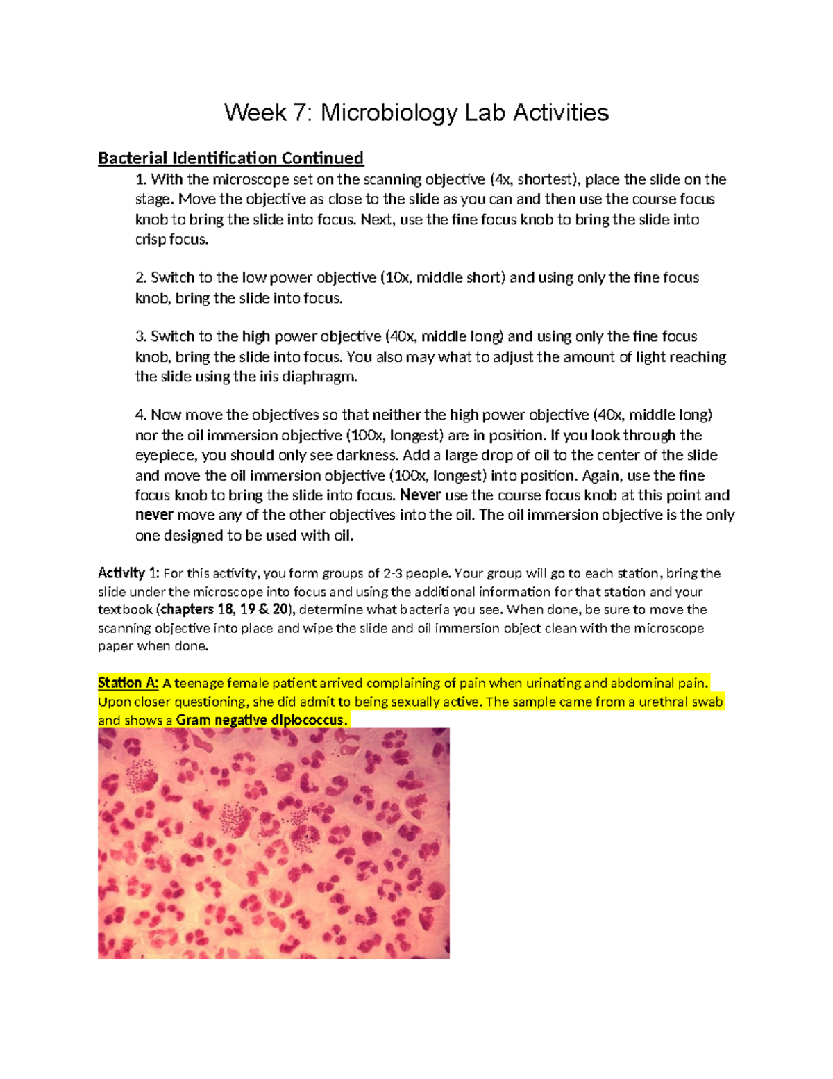 Week 7 - Week 7: Microbiology Lab Activities Bacterial Identification ...