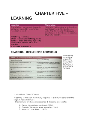 Parts OF THE Brain PSY - Psychology - PARTS OF THE BRAIN THE BRAIN STEM ...
