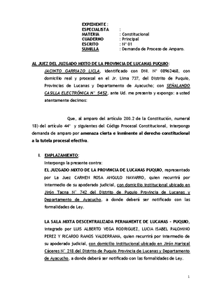 Modelo de Informe Justificado - MODELO DE INFORME JUSTIFICADO AMPARO ...