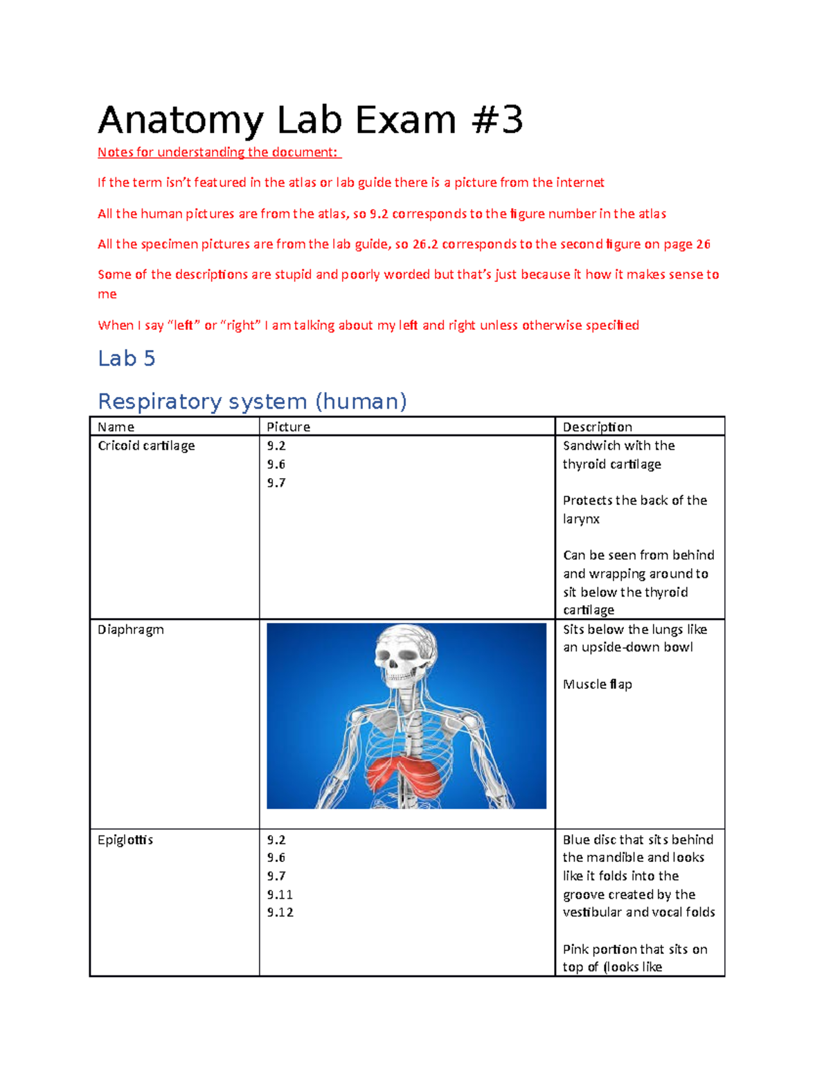 Lab exam 3 - study guide - Anatomy Lab Exam Notes for understanding the ...