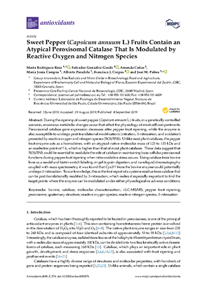 Lymphatic System Concept Map - Lymphatic System Concept Map Immunities ...