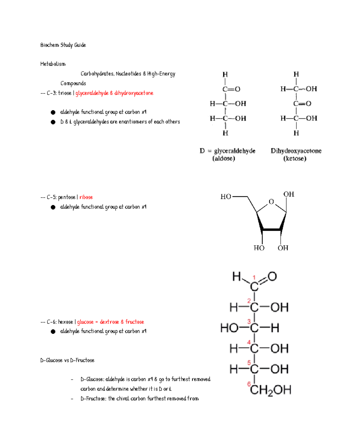 Biochem Study Guide - Biochem Study Guide Metabolism Carbohydrates ...