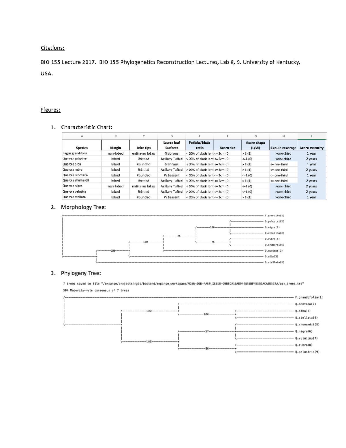 Figure Oak - BIO155 - Citations: BIO 155 Lecture 2017. BIO 155 ...
