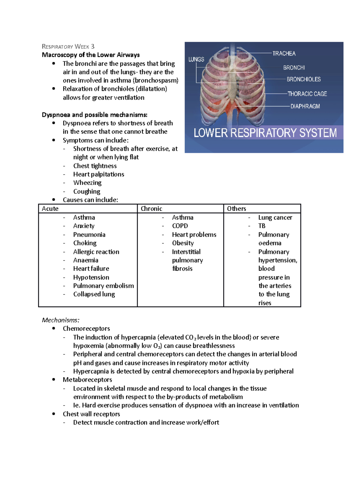 Respiratory Week 3 - Weekly Summary from lecture notes and practicals ...