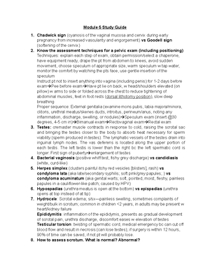 Pocket-guide CDC treatment guidelines 2021 - Sexually Transmitted ...