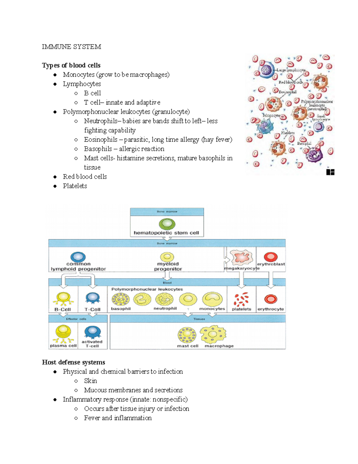 Patho- immunity - IMMUNE SYSTEM Types of blood cells Monocytes (grow to ...