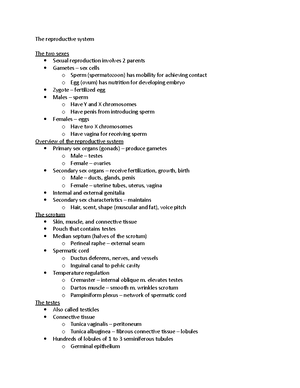 Basic Human Anatomy 5 - notes - Basic Human Anatomy Lesson 6: The Human ...
