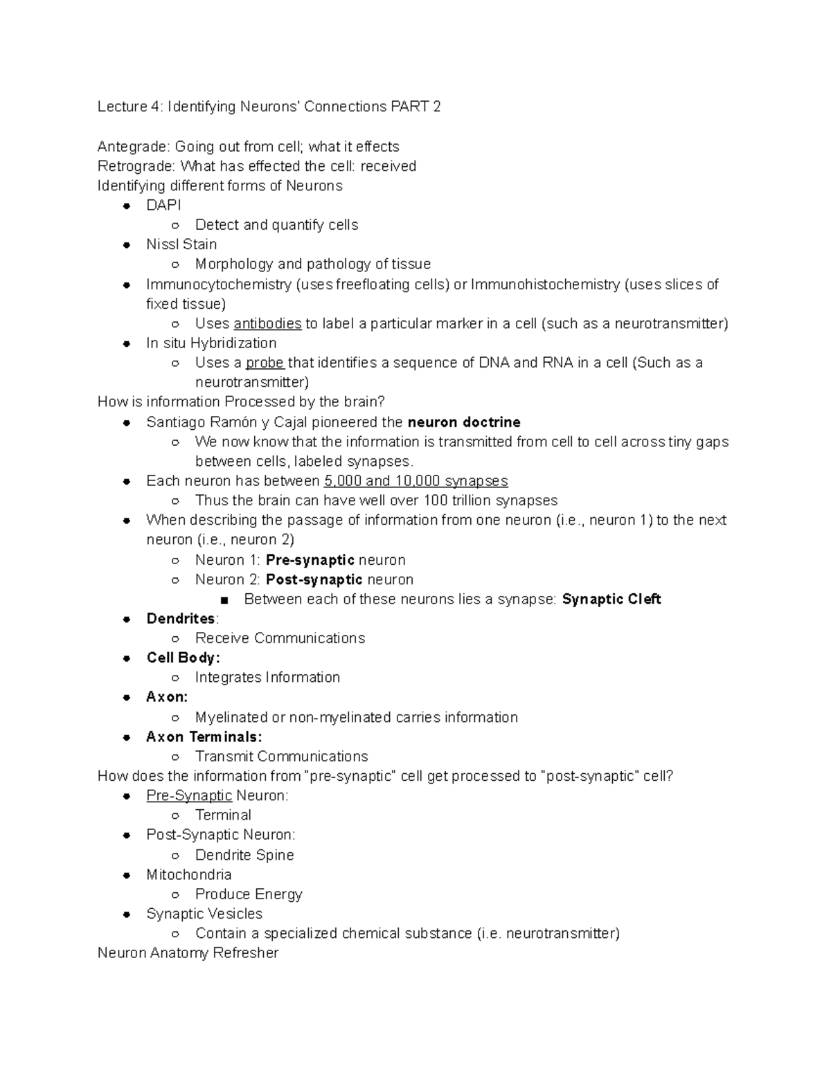 PSY209;Lecture 4 - Brain and Behavior Lecture with Jenna Lee - Lecture 4: Identifying Neurons ...