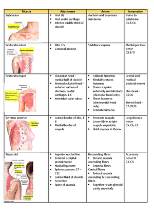 Shoulder practical list updated 2022 - Shoulder Practical Clavicle ...