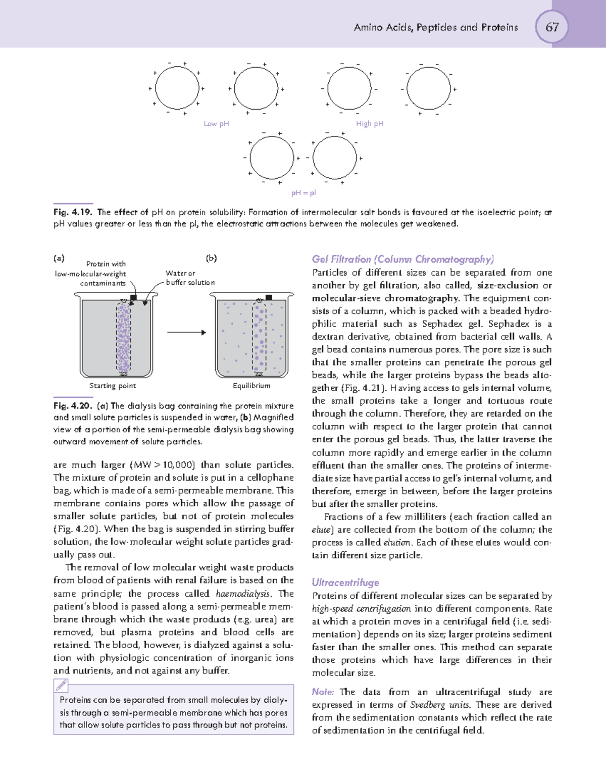Biochemistry 1-30 - N/A - Amino Acids, Peptides and Proteins 67 Gel ...