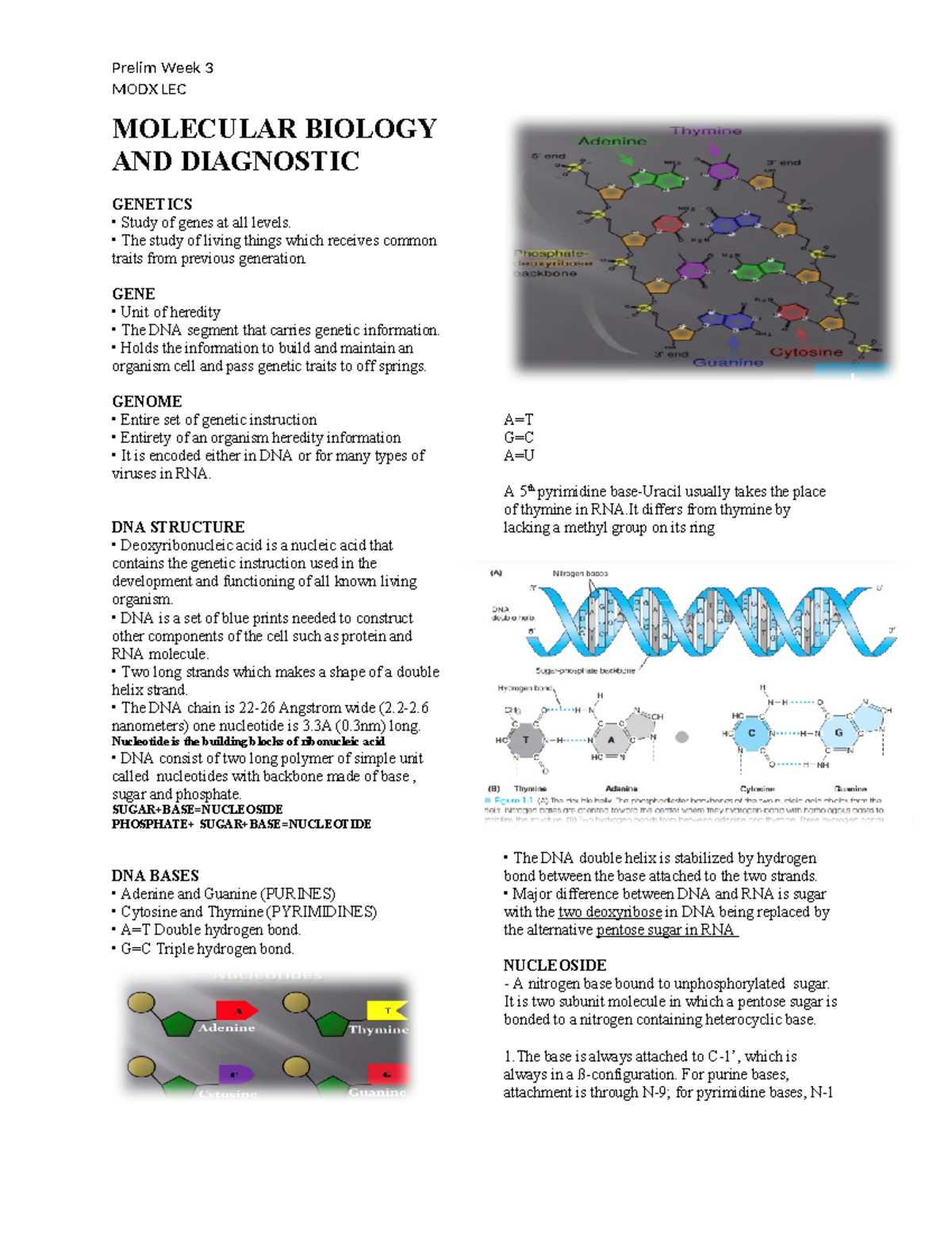 Modxlec-w33 - MODX LEC MOLECULAR BIOLOGY AND DIAGNOSTIC GENETICS ...