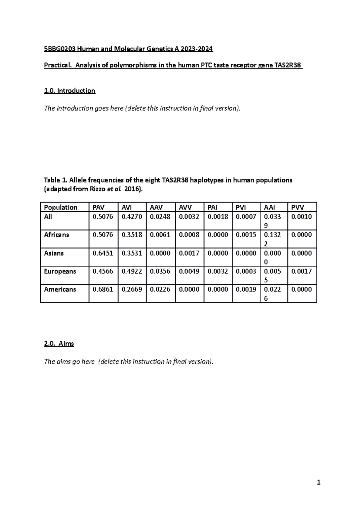5BBG0203 Practical Report Template 2023-2024 - 5BBG0203 Human and ...