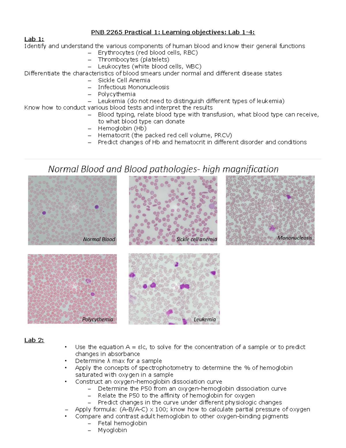 PNB 2265 Practical 1 LAB Objectives- Spring 2024 - PNB 2265 Practical 1 ...