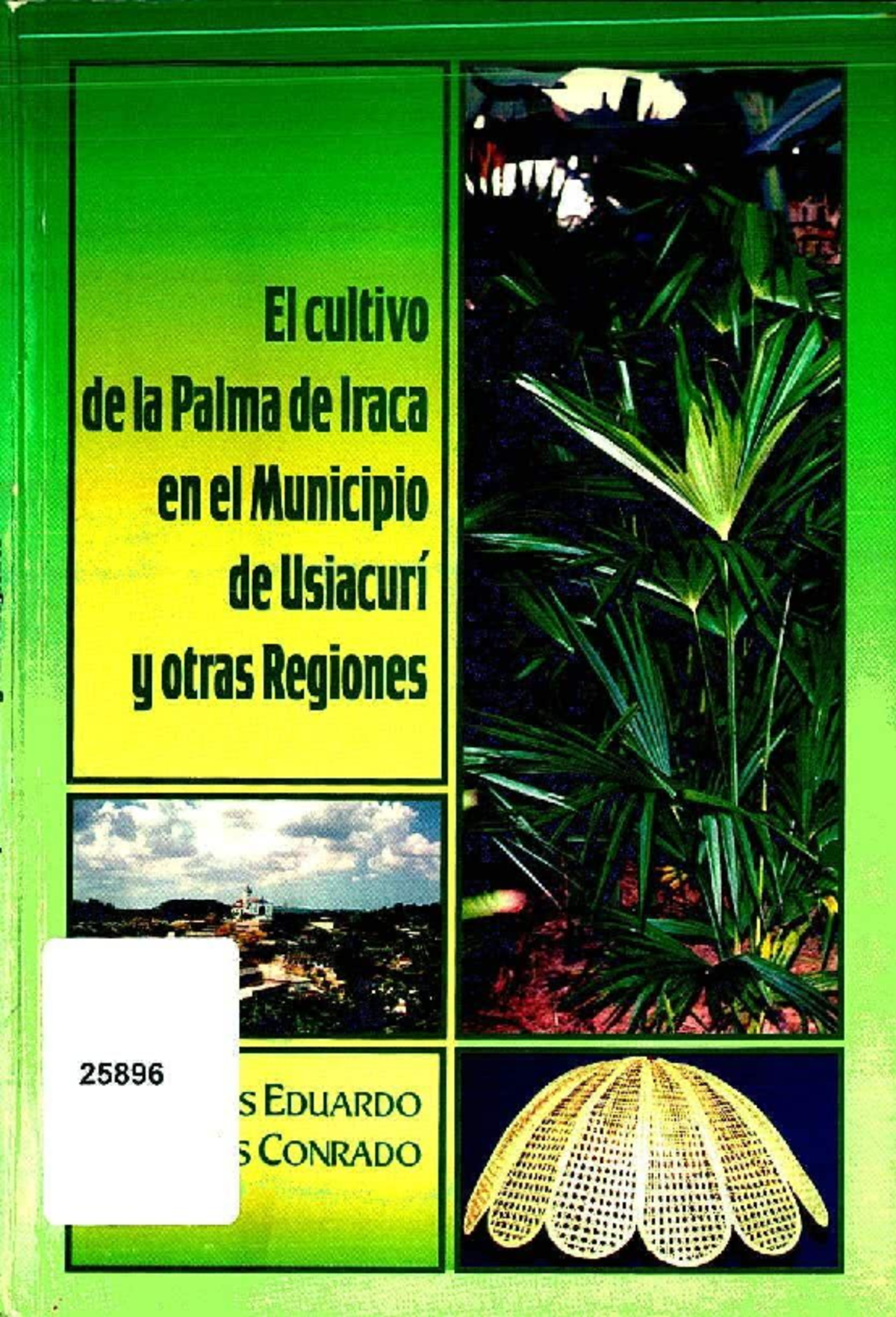 60269 61346 - El cultivo de la Palma de Iraca en el Municipio de ...