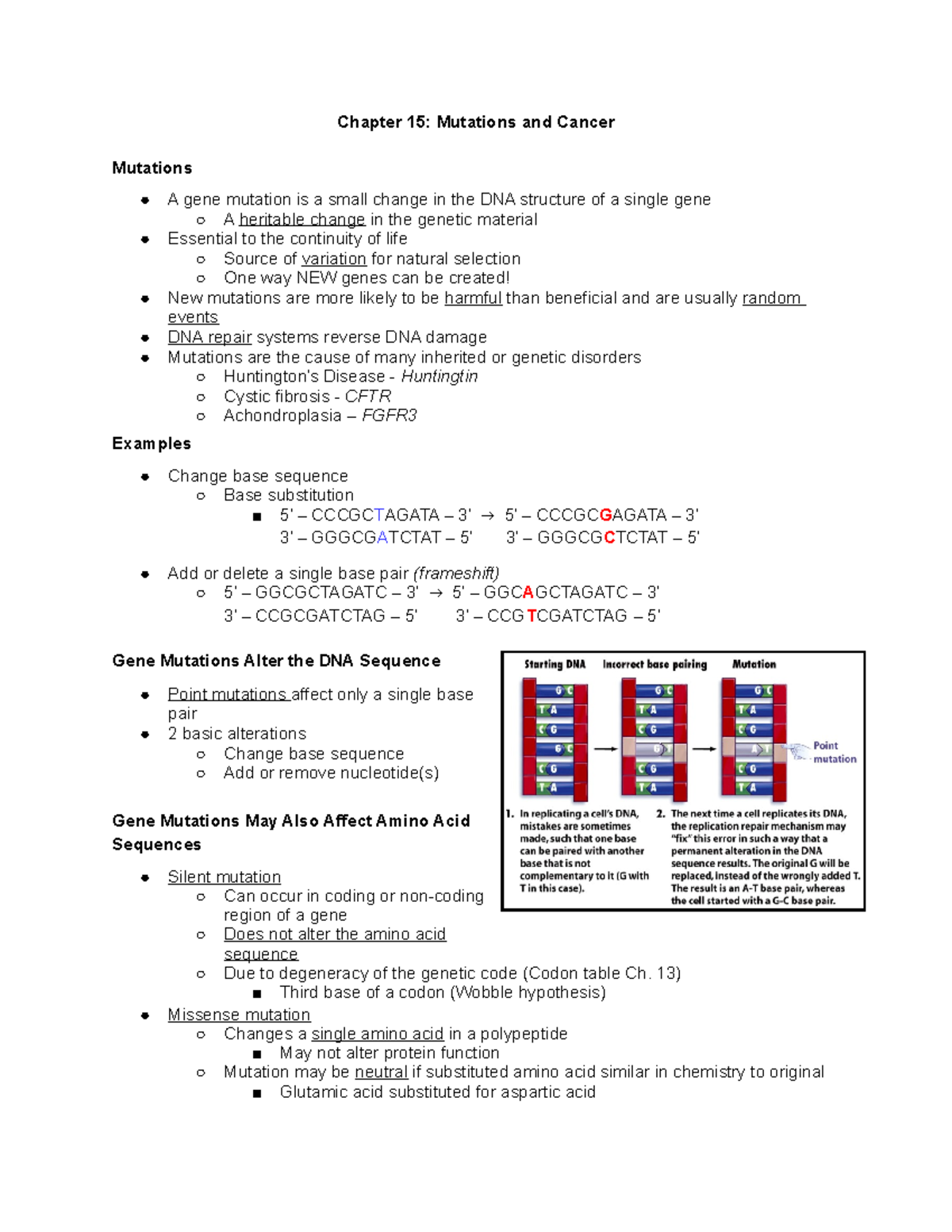 BIO 1200 Chapter 15 Notes - Chapter 15: Mutations and Cancer Mutations ...