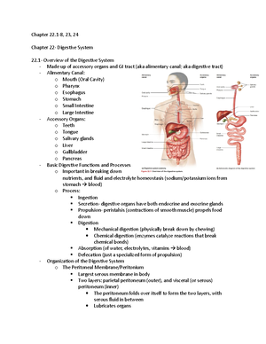 03. Embryology and Development - BIOL 120 - Studocu