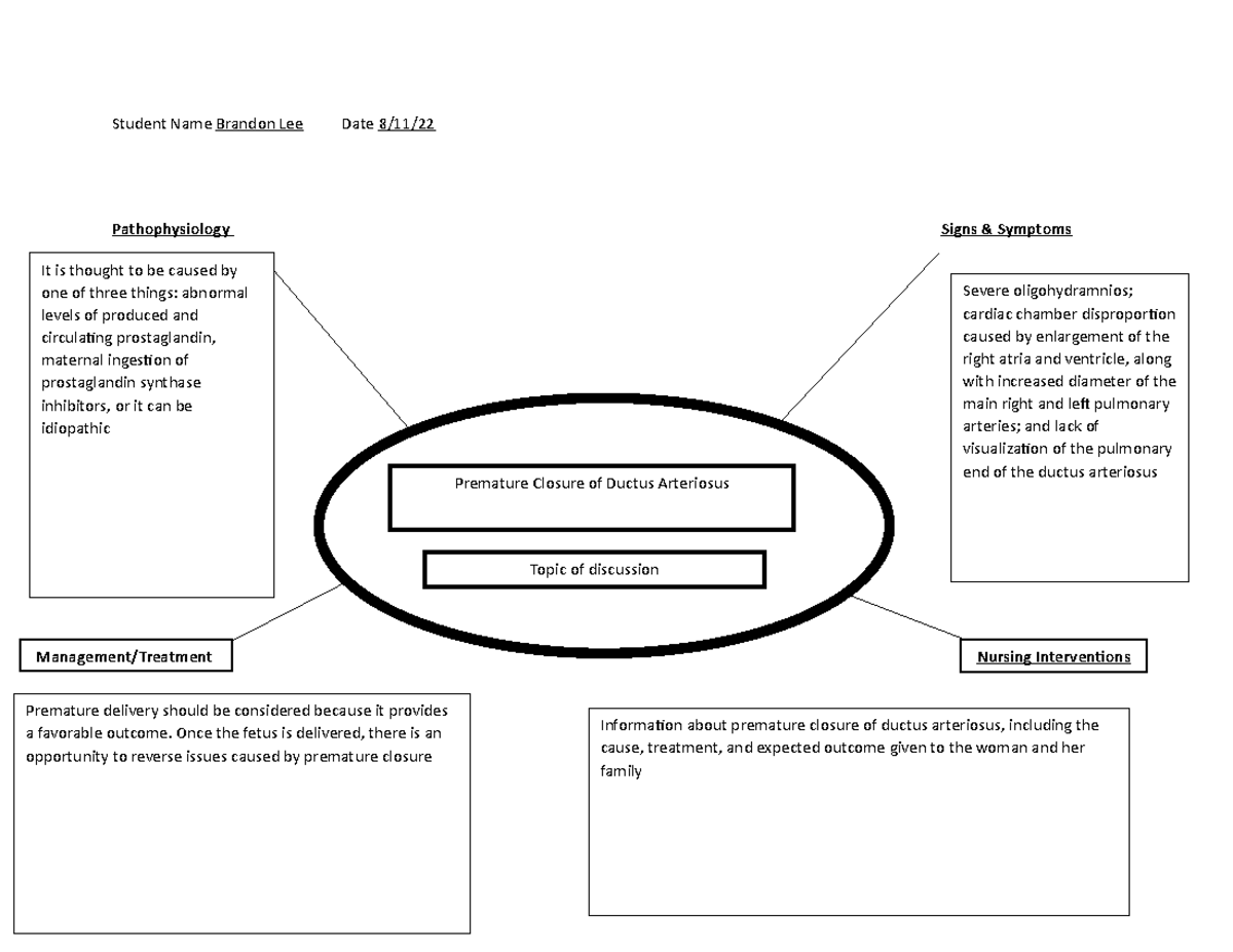 Premature Closure of the Ductus Arteriosus Brain Bubble - Student Name ...