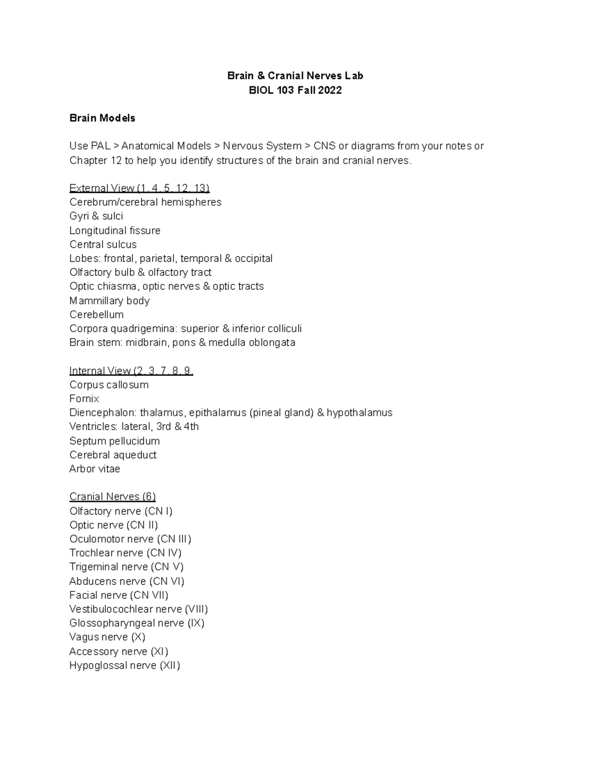 Brain & Cranial Nerves Lab 2022 - Brain & Cranial Nerves Lab BIOL 103 ...