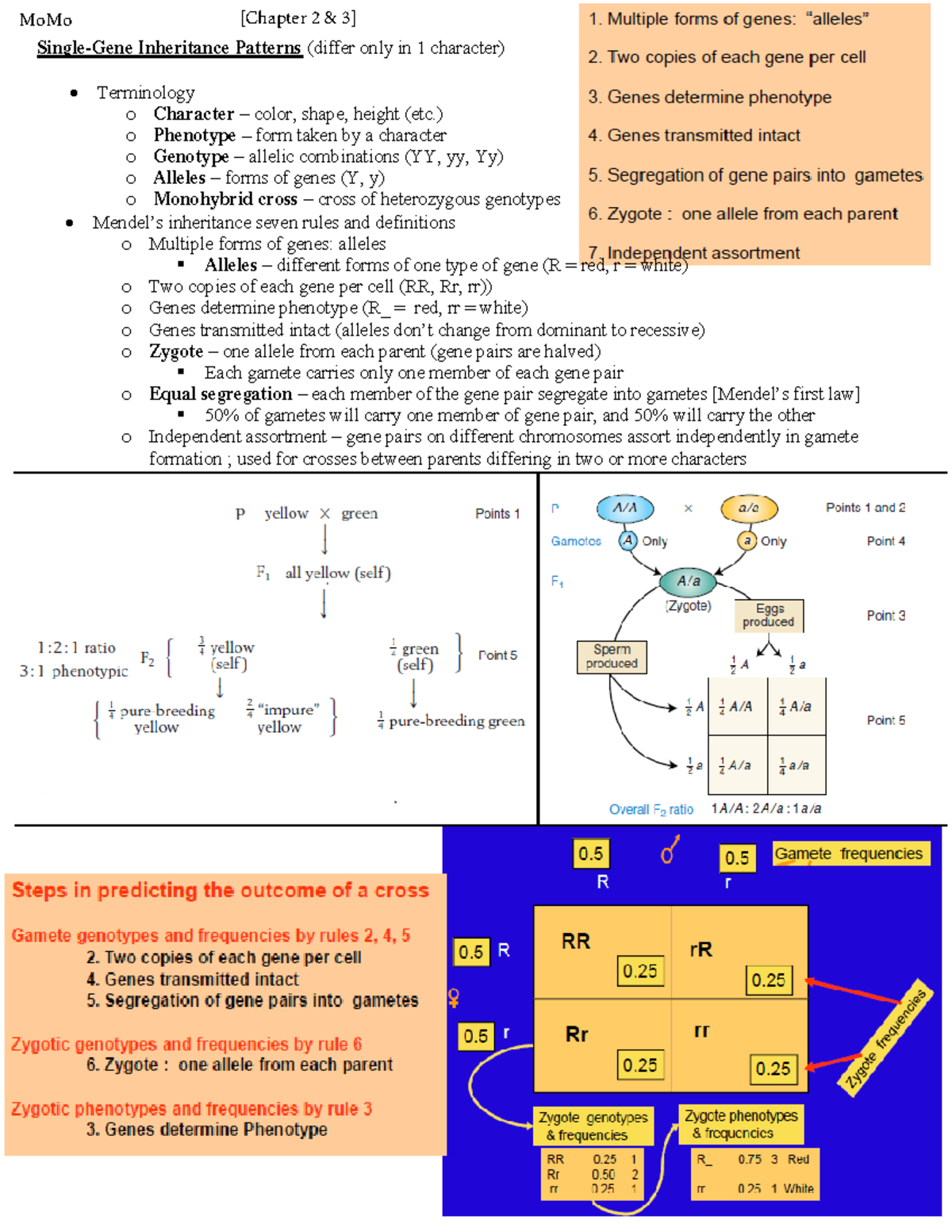 BIOS 220 Notes - .P Inheritance Patterns (differ only in 1 character ...