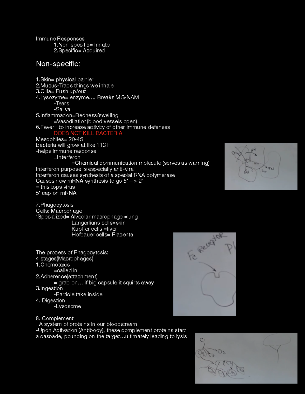 Immunology Notes (Microbiology) - Immune Responses 1-specific= Innate 2 ...