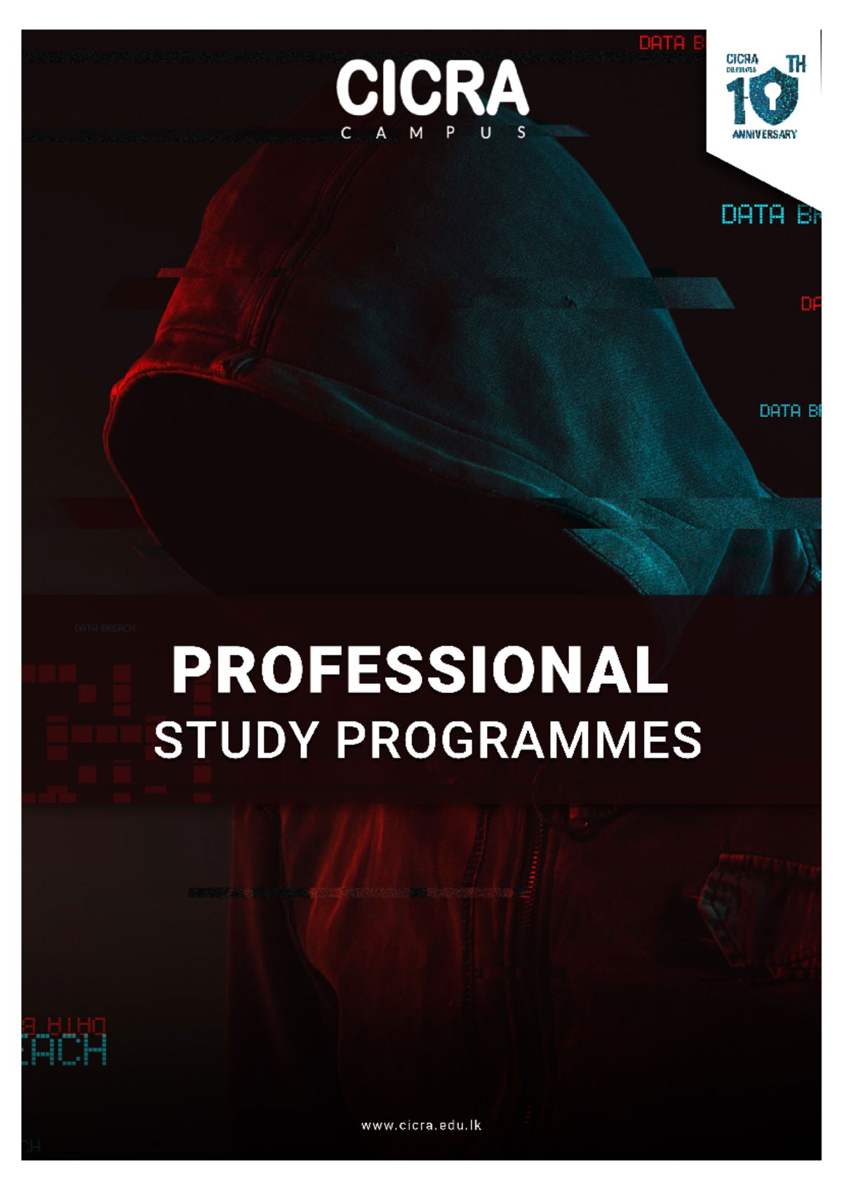 Professional Study Programmes Booklet - HND In Computing - Studocu