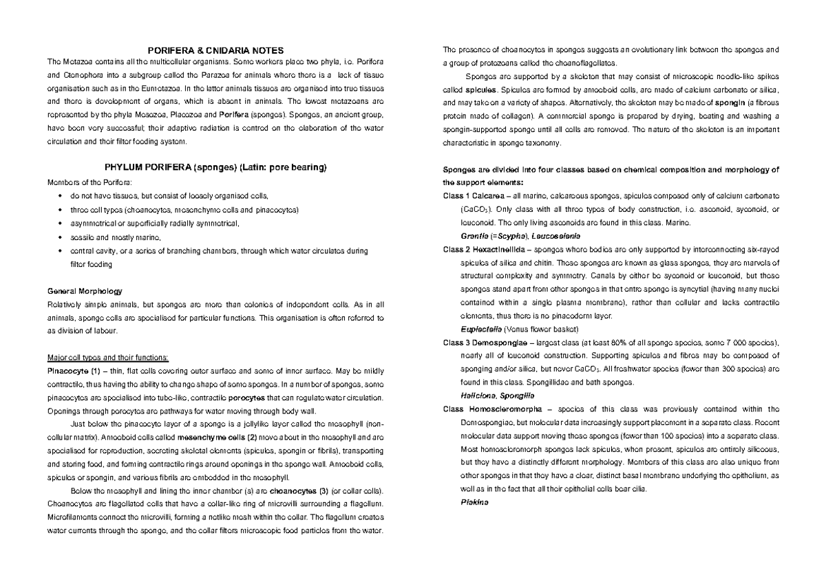 3 Porifera & Cnidaria Notes 2024 copy - PORIFERA & CNIDARIA NOTES The ...