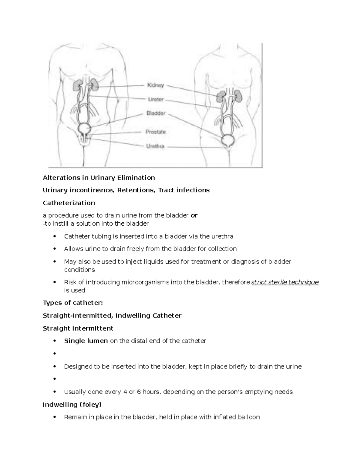 NURS 1104 QUIZ 5 Review - Alterations in Urinary Elimination Urinary ...