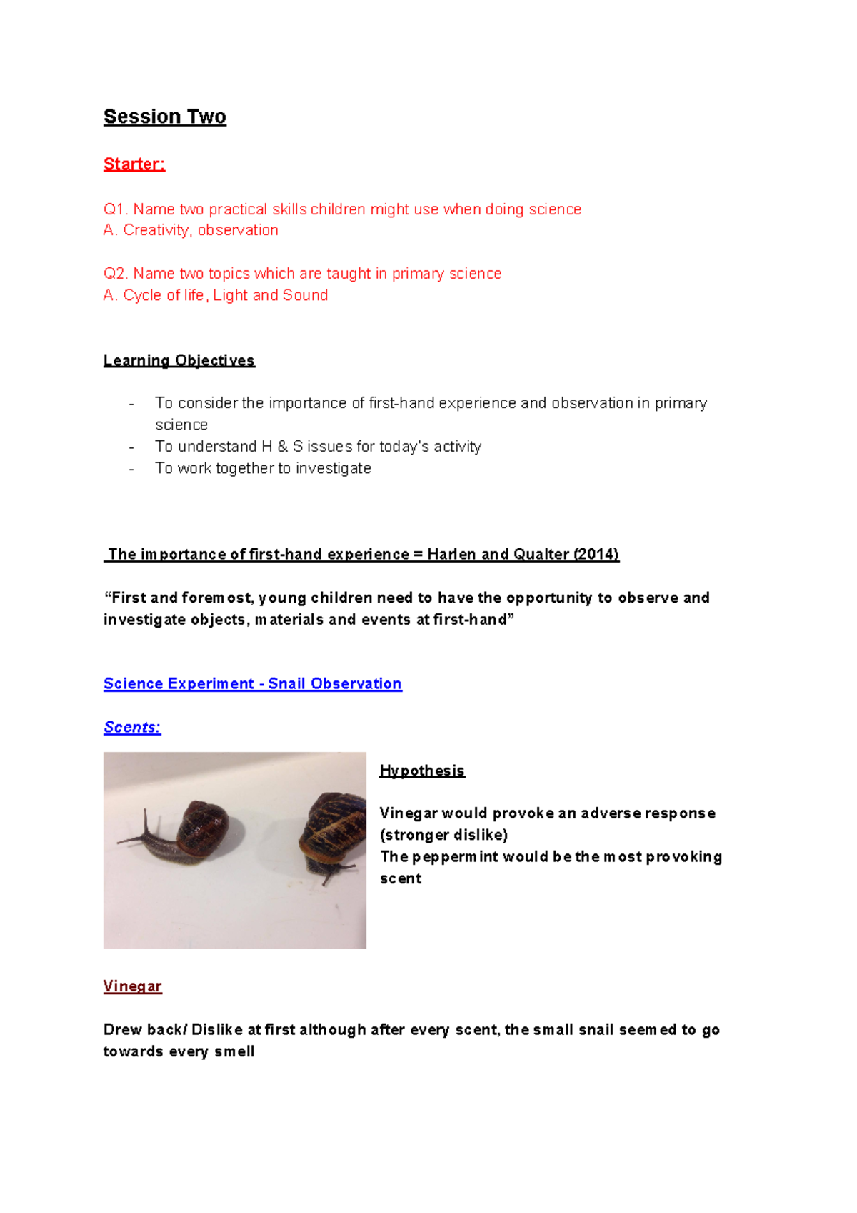 Session 2- The importance of first hand practical experience (Year 1 ...