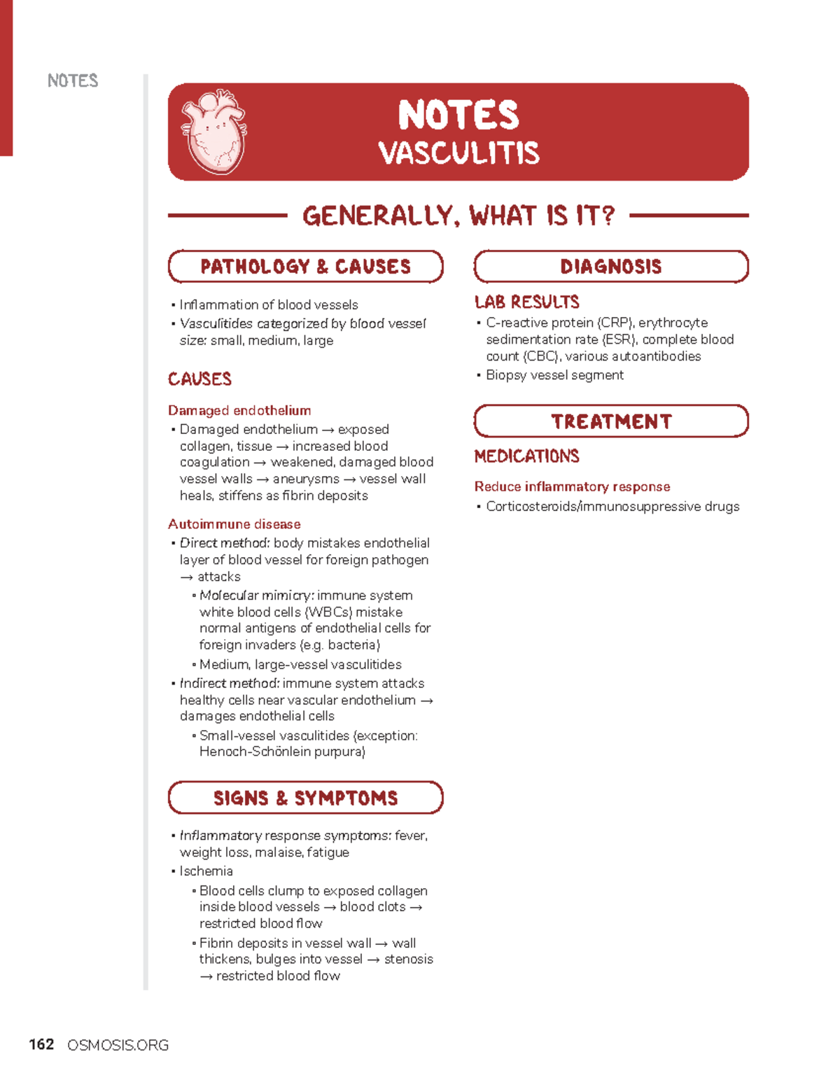Vasculitis - Cardiovascular Diseases - NOTES NOTES VASCULITIS ...