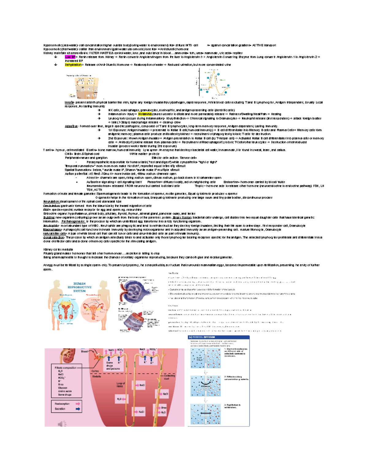 Bio Cheat Sheet - Hyperosmotic (sea water)- salt concentration higher ...