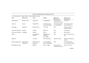Antibiotics-1 - This is to help learn how to treat a horse ...