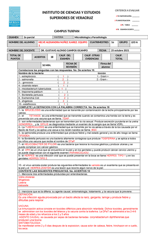 Mmc3 - Mmmc3 - ESCALA DE DETERIORO GLOBAL (GDS-FAST) Estadio Fase ...