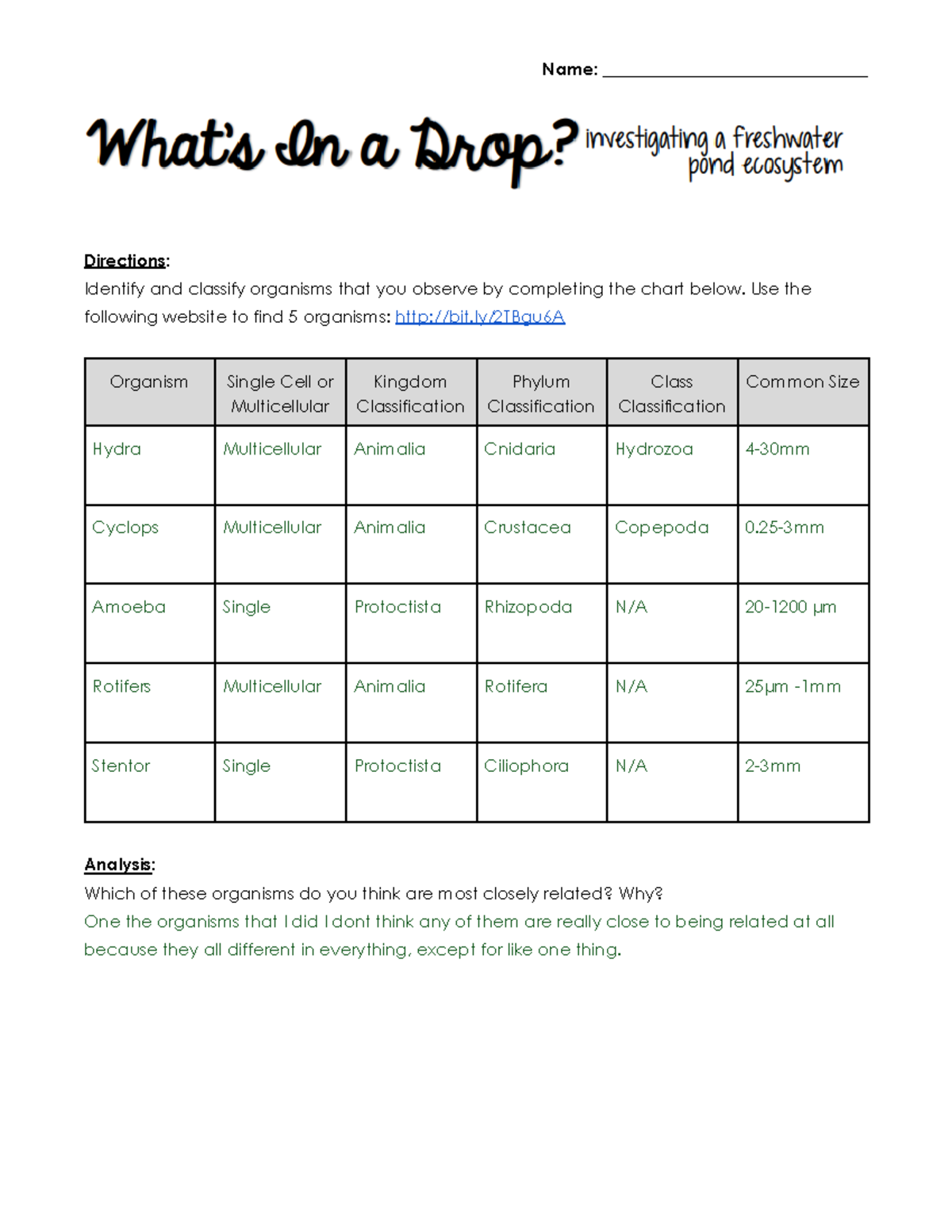 Alexis- Fresh Water Pond Ecosystem Investigation - Google Docs - Name ...